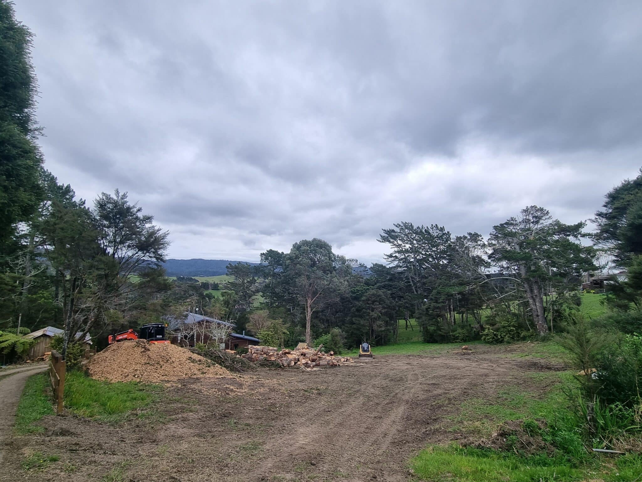 Land Clearing / Development - NZ Treetops